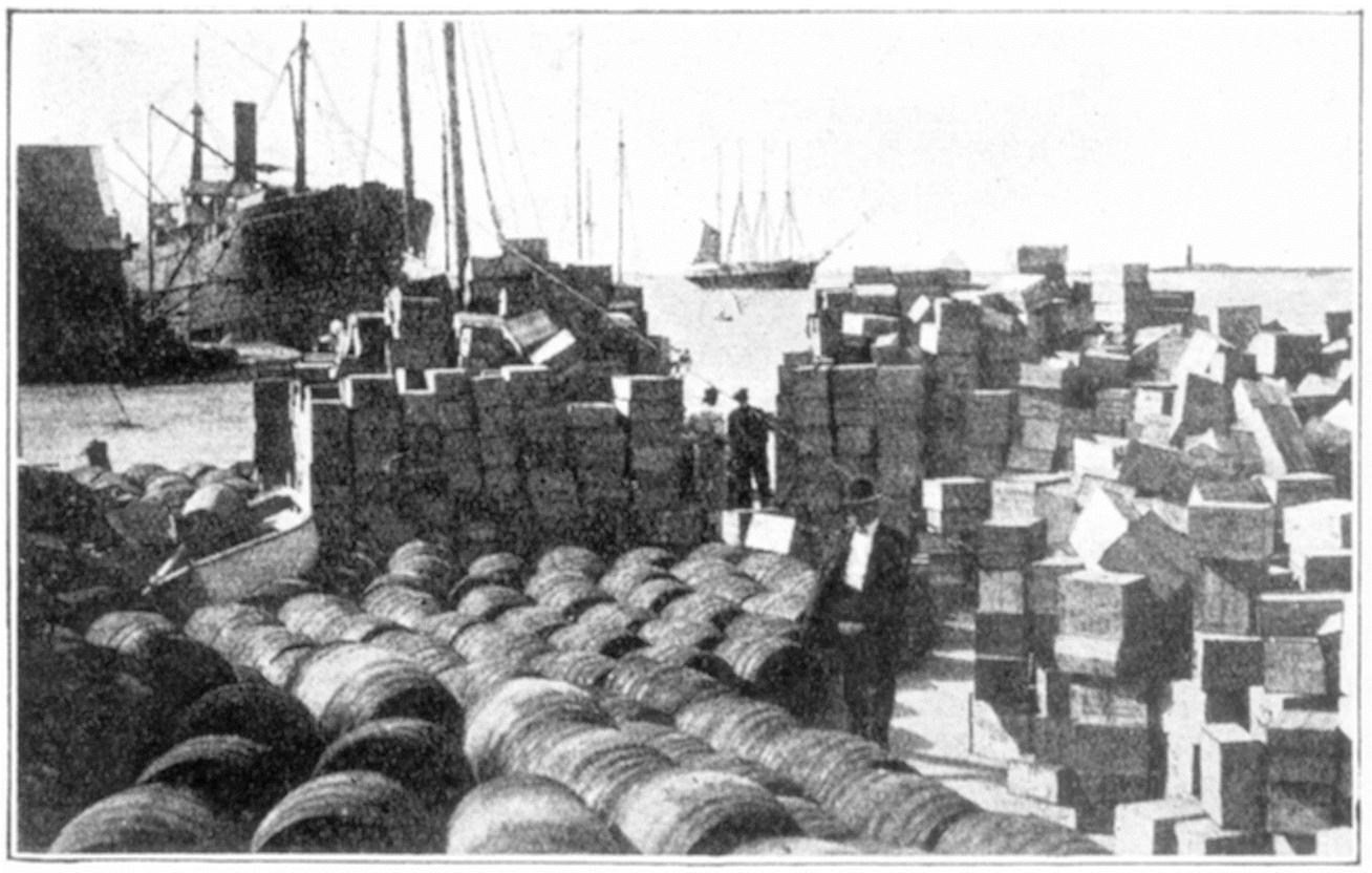 Nassau – Wall Street of Illegal Booze | Sally J. Ling – Florida's ...